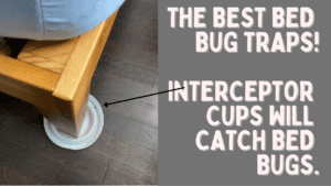 The Best Bed Bug Traps for 2024: Reviewed and Tested!