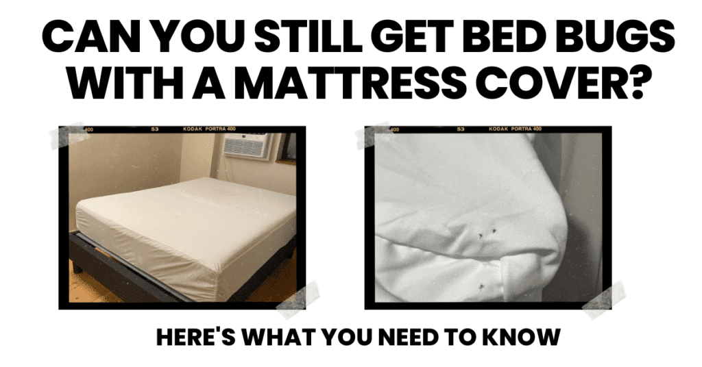 Can You Still Get Bed Bugs With A Mattress Cover Can You Still Get Bed Bugs With A Mattress Cover