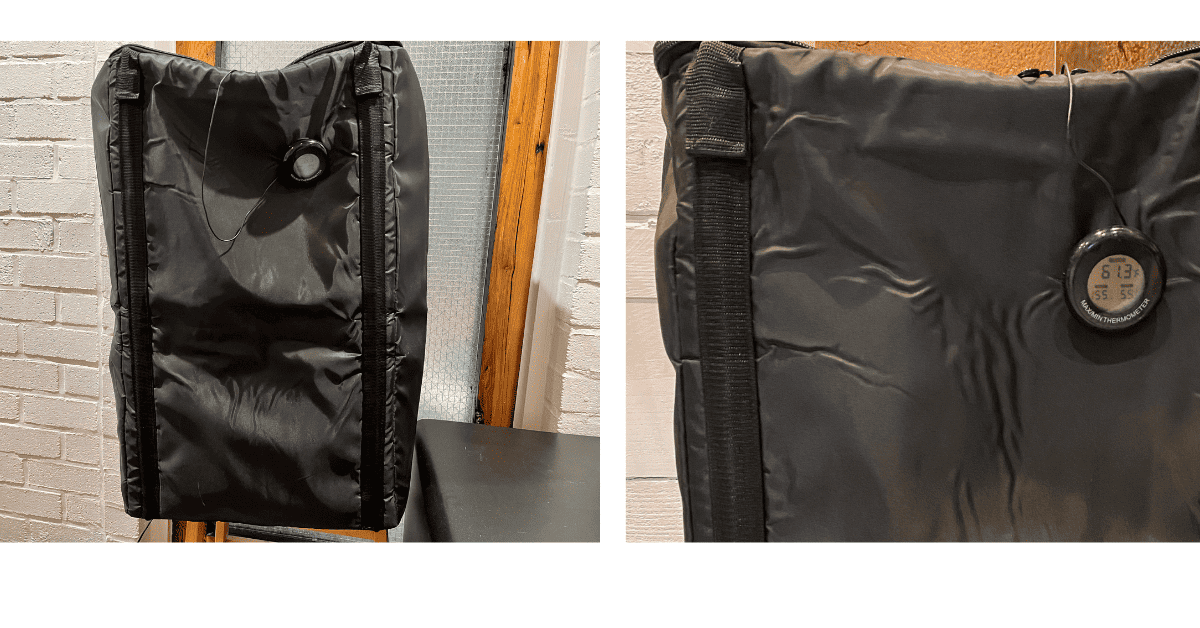 6 Ideas for How To Kill Bed Bugs In Luggage