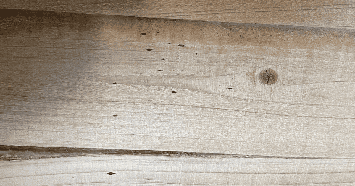How to Clean Used Furniture to Prevent Bed Bugs