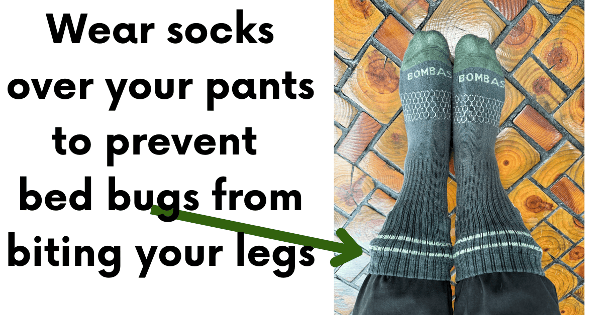 What to Wear to Prevent Bed Bug Bites: Tips and Myths