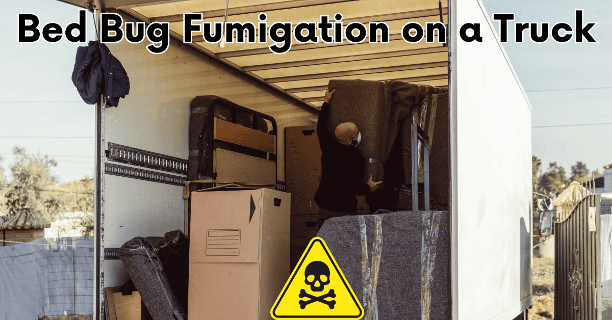 What is Bed Bug Fumigation? How Does it Work?