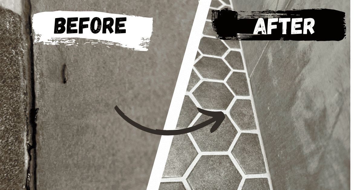 Drain Flies 101: Must Know Facts for Getting Rid of Them