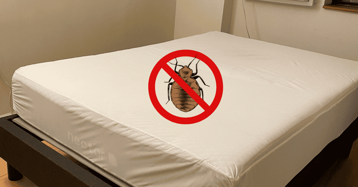 Five Mattress Covers That Are Essential in the Fight Against Bed Bugs ...