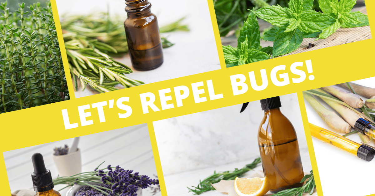Repel Bugs Like a Pro with These Essential Oil Hacks