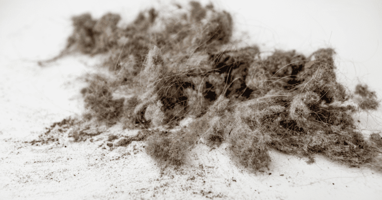 How to Cut Down on Dust: 5 Practical Tips That Really Work - Doctor Sniffs